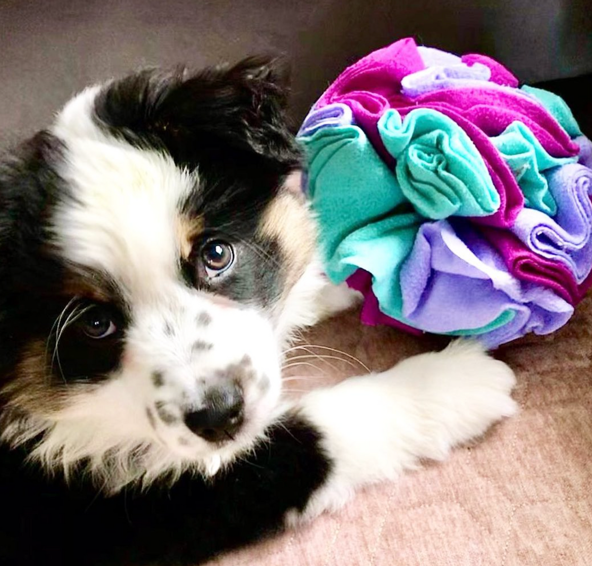 Snuffle Balls (4-6") - foufoubrands-usa