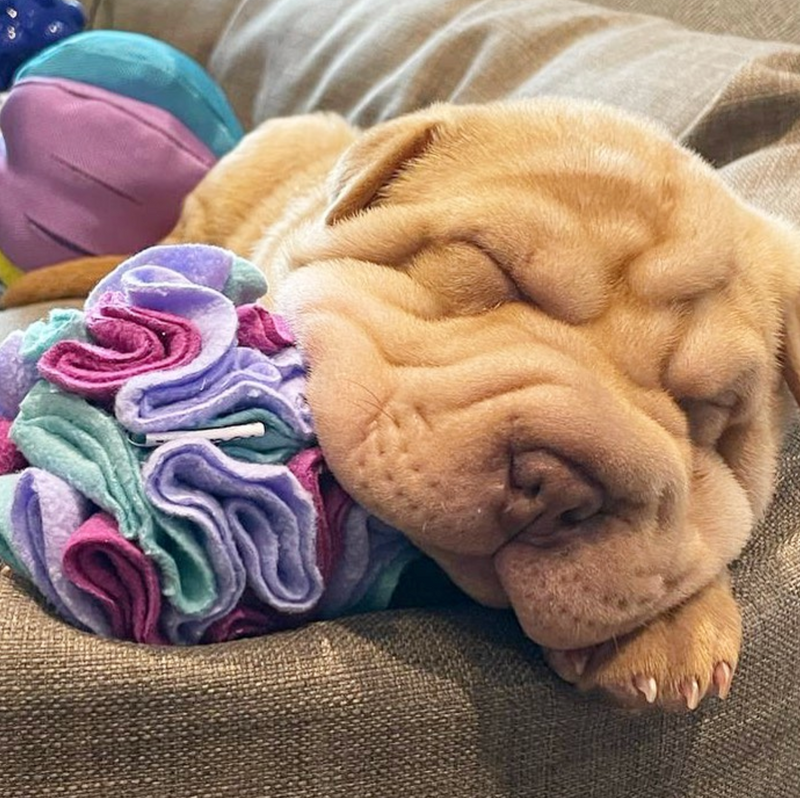 Snuffle Balls (4-6") - foufoubrands-usa